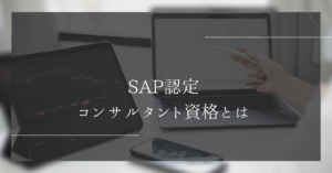 【SAP】稼働日カレンダとは【共通】 – SAPコンサル虎の巻